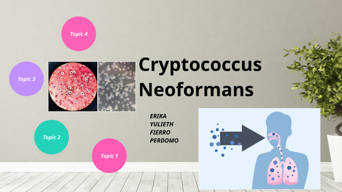 Cryptococcus Neoformans by Erika Perdomo on Prezi