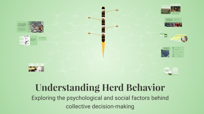 Understanding Herd Behavior by Autumn Omeara on Prezi