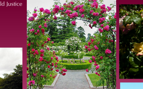 Incident in a Rose Garden by Amy E. Counts on Prezi
