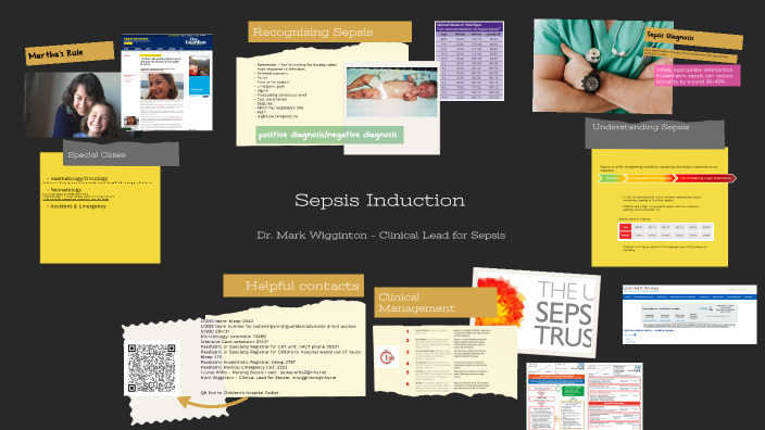 Sepsis Induction by Mark Wigginton on Prezi