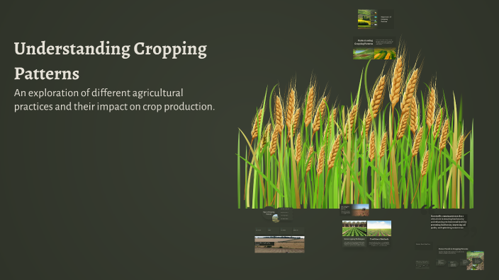 Understanding Cropping Patterns by Janakiram C on Prezi
