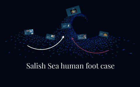 Salish Sea human foot case by Kata Martincsák on Prezi