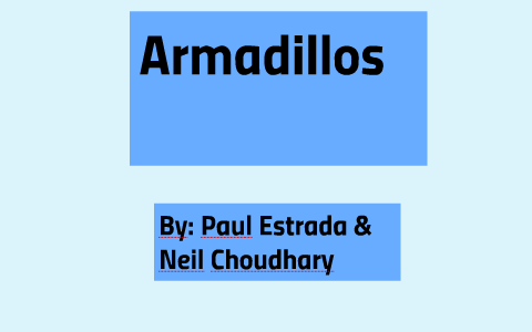 Do you like armadillos? by neil choudhary on Prezi