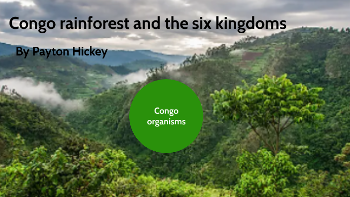 Congo rainforest organisms by PAYTON HICKEY on Prezi