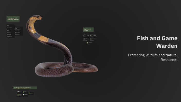 Fish and Game Warden by Natalee Spring on Prezi