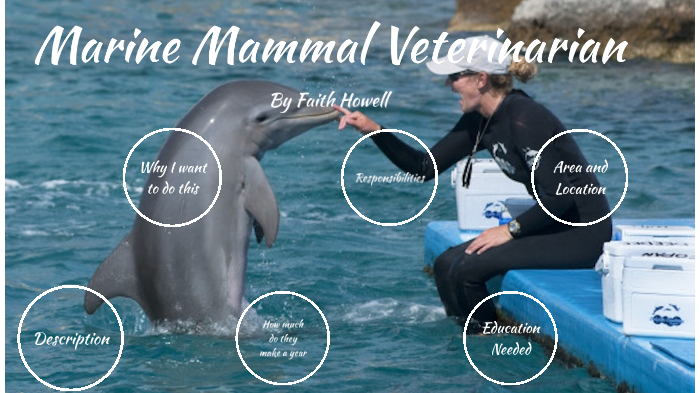 future Job by faith howell on Prezi