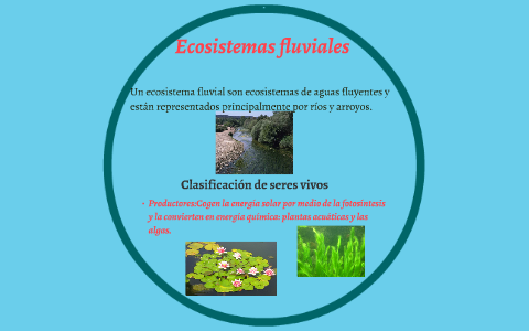 Ecosistemas fluviales by Andrea Garcia on Prezi
