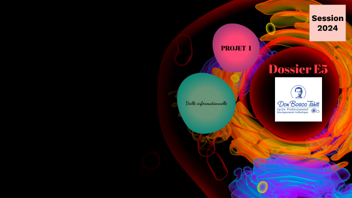 DOSSIER E5 - Présentation et journée d'immersion du BTS SAM by Hanaiti ...