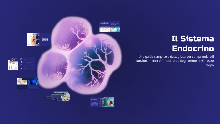 Il Sistema Endocrino by Anna Miccoli on Prezi