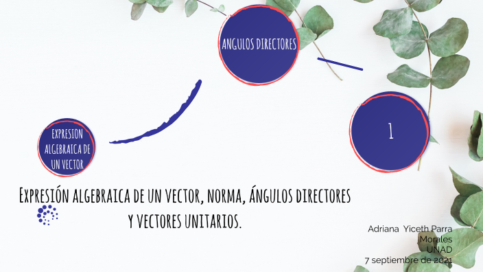 Expresión algebraica de un vector, norma, ángulos directores y vectores ...