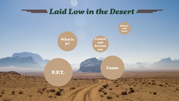 Laid Low in the Desert by Megan Gooding on Prezi
