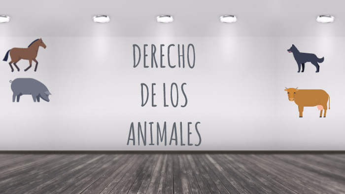 DERECHOS DE LOS ANIMALES E.J.P.L by Erick Javier Pachacama Loayza on Prezi