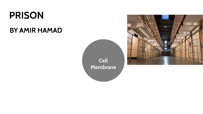 Prison- cell analogy by Amir HamadBazzar on Prezi