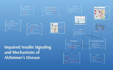 Impaired Insulin Signaling and Mechanisms of Memory Loss by Taylor ...