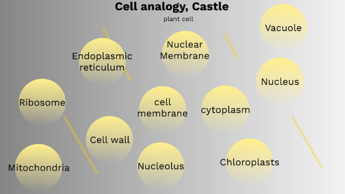 Cell analogy poster by Alexander Marques on Prezi