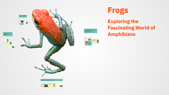 Frogs by Conley Martin on Prezi