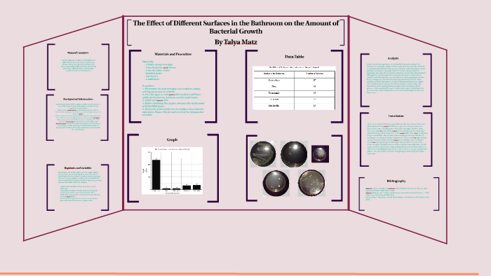 MS51 Talya Matz 802 by Talya Matz on Prezi