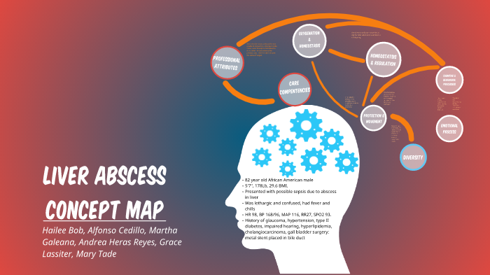 Liver Abscess Concept Map by Grace Lassiter on Prezi