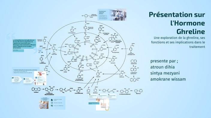 Présentation sur l'Hormone Ghreline by DIHIA ATROUN on Prezi
