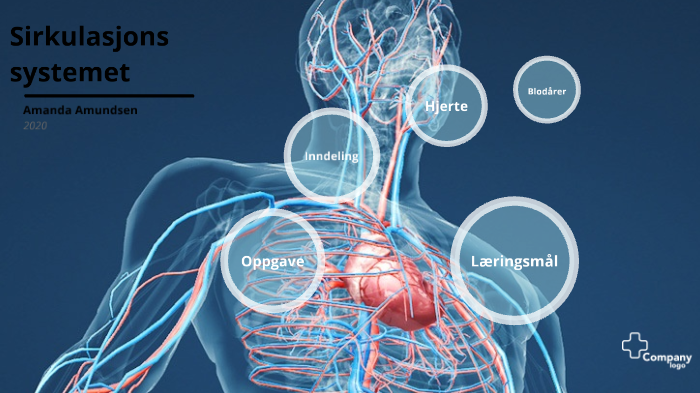 Sirkulasjonssystemet by Amanda Amundsen on Prezi