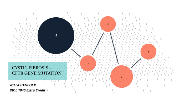 CFTR Gene Mutation - BIOL 1040 by Willa Hancock on Prezi