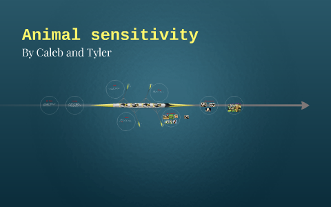 Animal sensitivity by Abbey Magoffin on Prezi