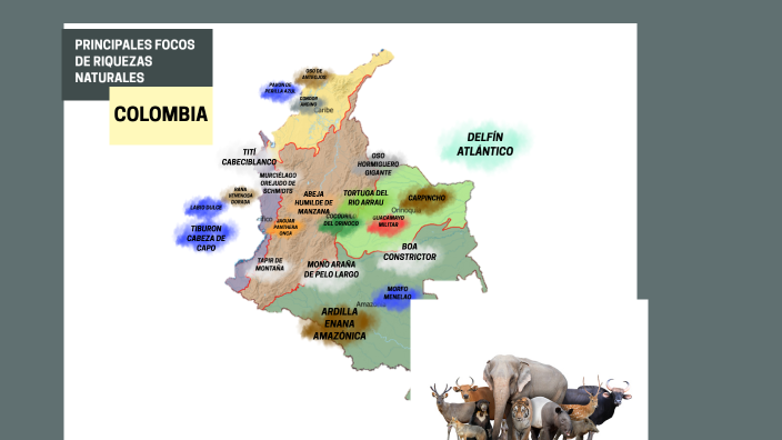 Mapa interactivo by Marcela Granada on Prezi