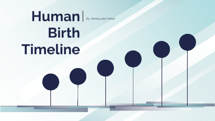 Human Birth Timeline by Parker Drain on Prezi