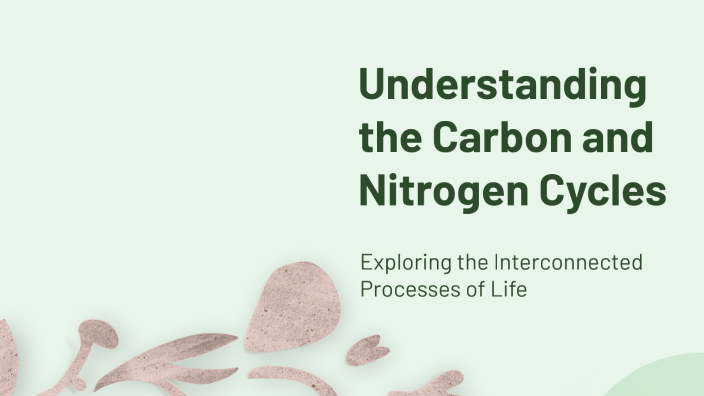 Understanding the Carbon and Nitrogen Cycles by mohamed Aita on Prezi