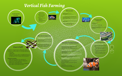 Vertical Fish Farming by Dylan Verheof on Prezi