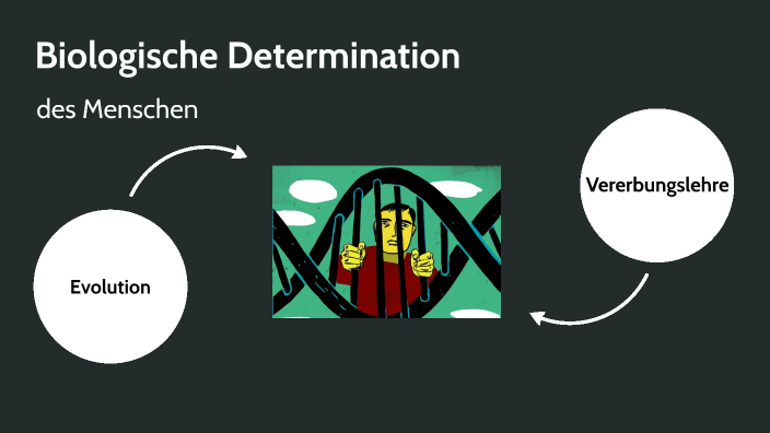 Biologische Determination by Alfred Sitter on Prezi