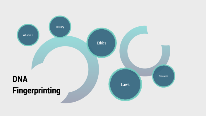 DNA fingerprinting by Clare Johnson on Prezi