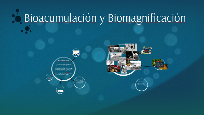 Bioacumulación y Biomagnificación by Marbella Fernández on Prezi