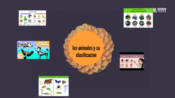 los animales y su clasificacion by glendy nohemi swquen morales on Prezi