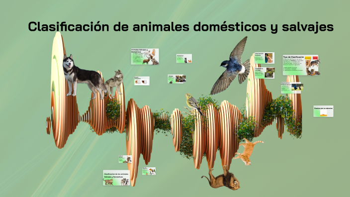 Classification of Wild and Domestic Animals by Sebastian Zambrano on Prezi
