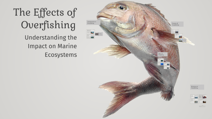 The Effects of Overfishing by Carter Nisbet on Prezi