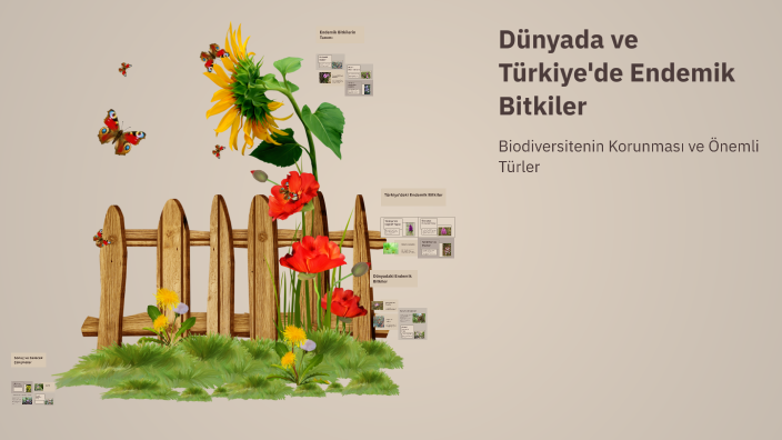 Dünyada ve Türkiye'de Endemik Bitkiler by Yusuf on Prezi