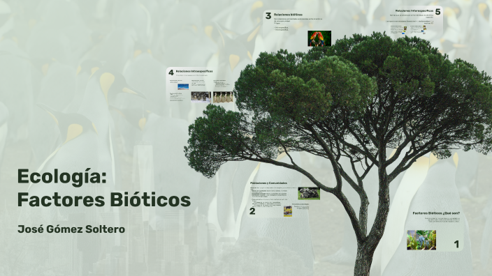 Factores Ecológicos by Jose Gómez Soltero on Prezi