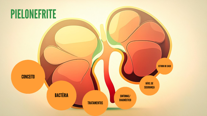 pielonefrite by Valentina Granemann on Prezi