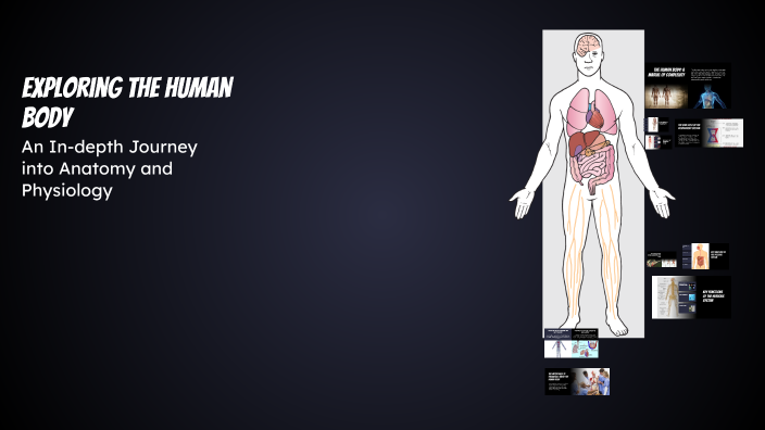 Exploring the Human Body by Jefferson Domingo on Prezi