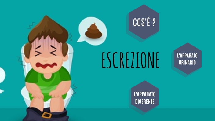 L'escrezione by Laura Ostuni on Prezi