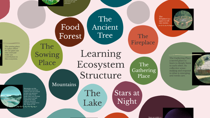 Learning Ecosystem Structure by mugdha trifaley on Prezi