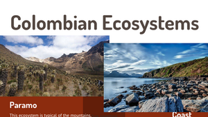 Colombian Ecosystem by Droguería Biosaludable on Prezi Design
