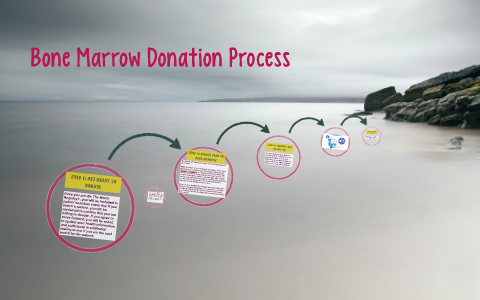 Bone Marrow Donation Process by Teanna DaPonte
