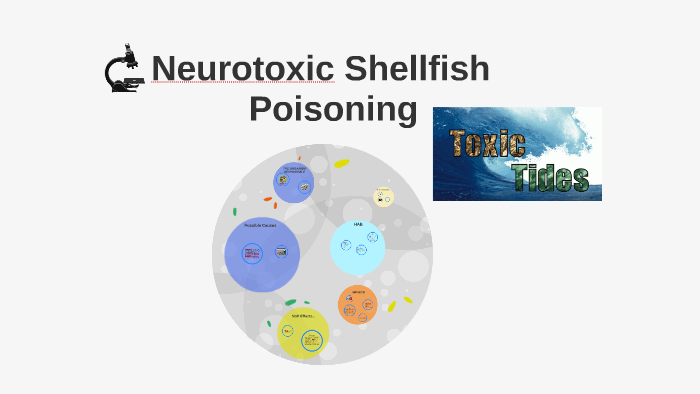 Neurotoxic Shellfish by emma grimsley on Prezi