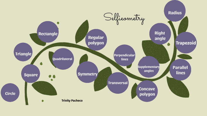 Selfieometry by Trinity Pacheco on Prezi