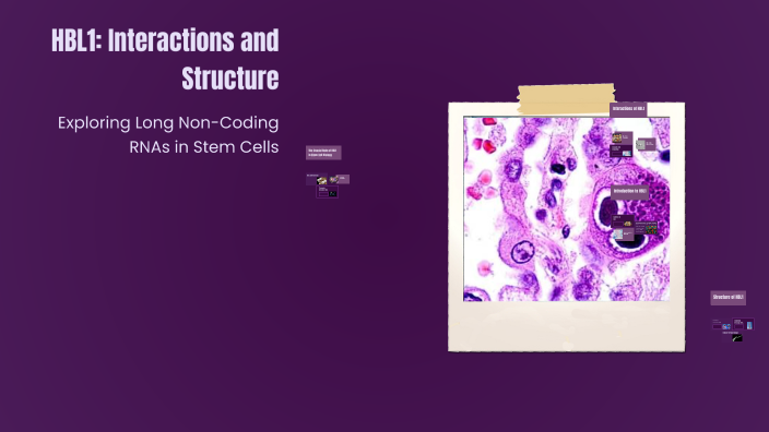 HBL1: Interactions and Structure by Fosfolipidowy Świerszczak on Prezi