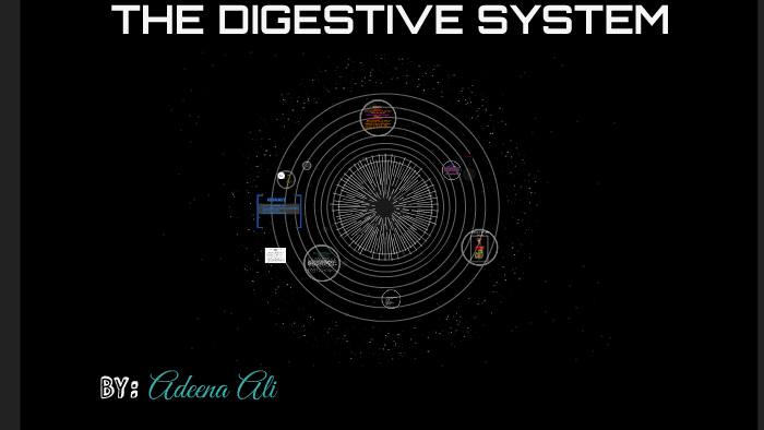 DIGESTIVE SYSTEM by Adeena Ali on Prezi