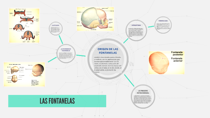 LAS FONTANELAS by lenda frinetd barrientos ramirez on Prezi