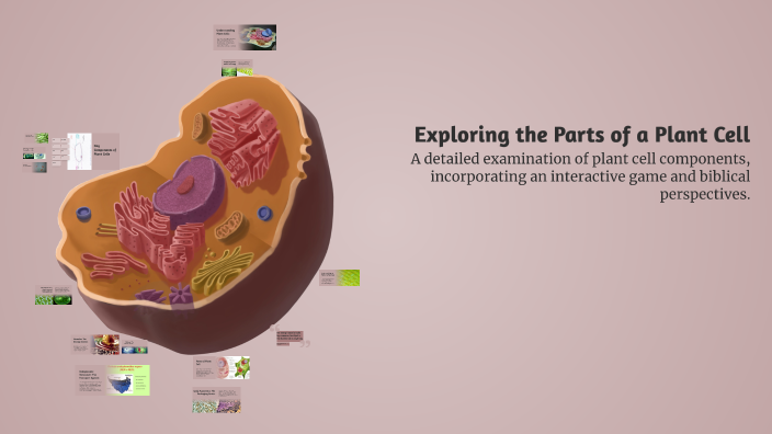 Exploring the Parts of a Plant Cell by Gerald Fidel Arroyo on Prezi